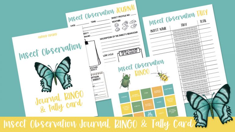 Learning about Insects for Kids of All Ages + Insect Observation ...